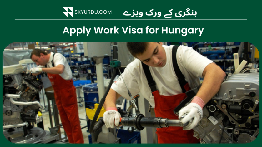 How to Apply Work Visa for Hungary. - skyurdu.com